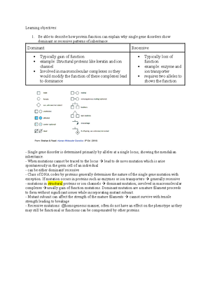 BIOM3003 PBL2 part 2 - PBL 2 notes - Why do mutations in different ...