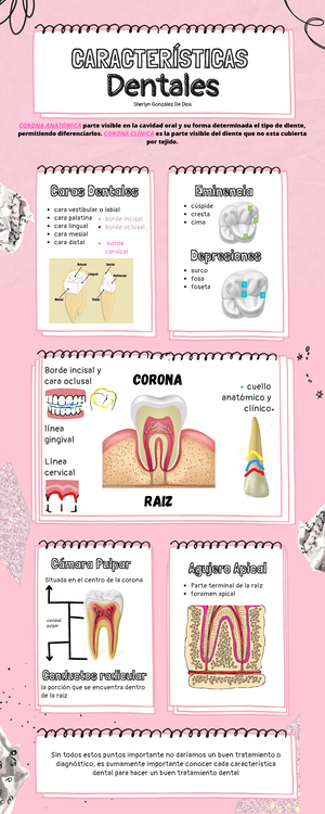 Prescripcion ROTH Original - PRESCRIPCION ROTH ORIGINAL MAXILAR Súper ...