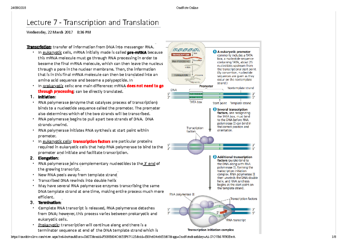 Lecture 12 - 24/09/2018 OneNote Online Lecture 7 ‐ Transcription and ...