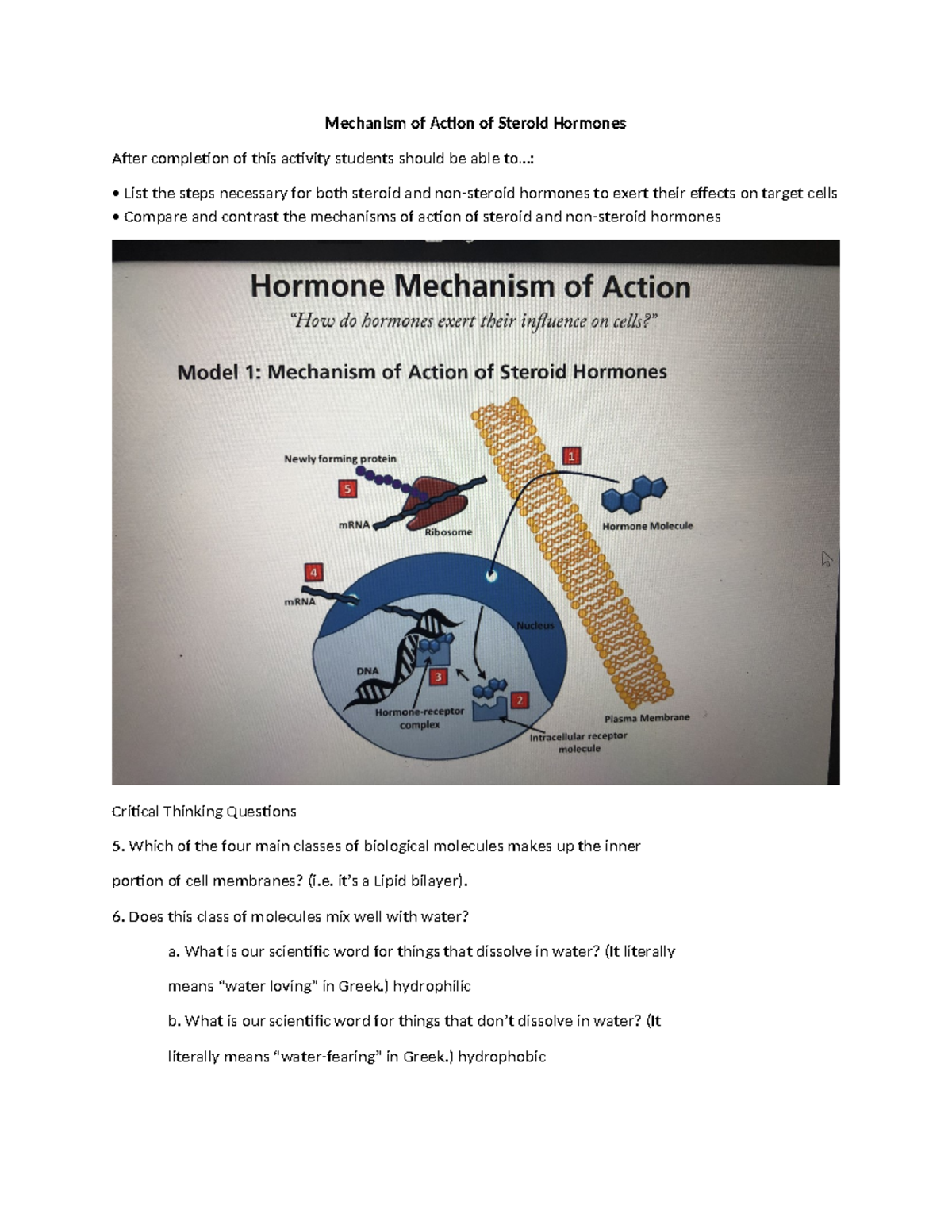 Week 2 Second hand-out - Mechanism of Action of Steroid Hormones After ...