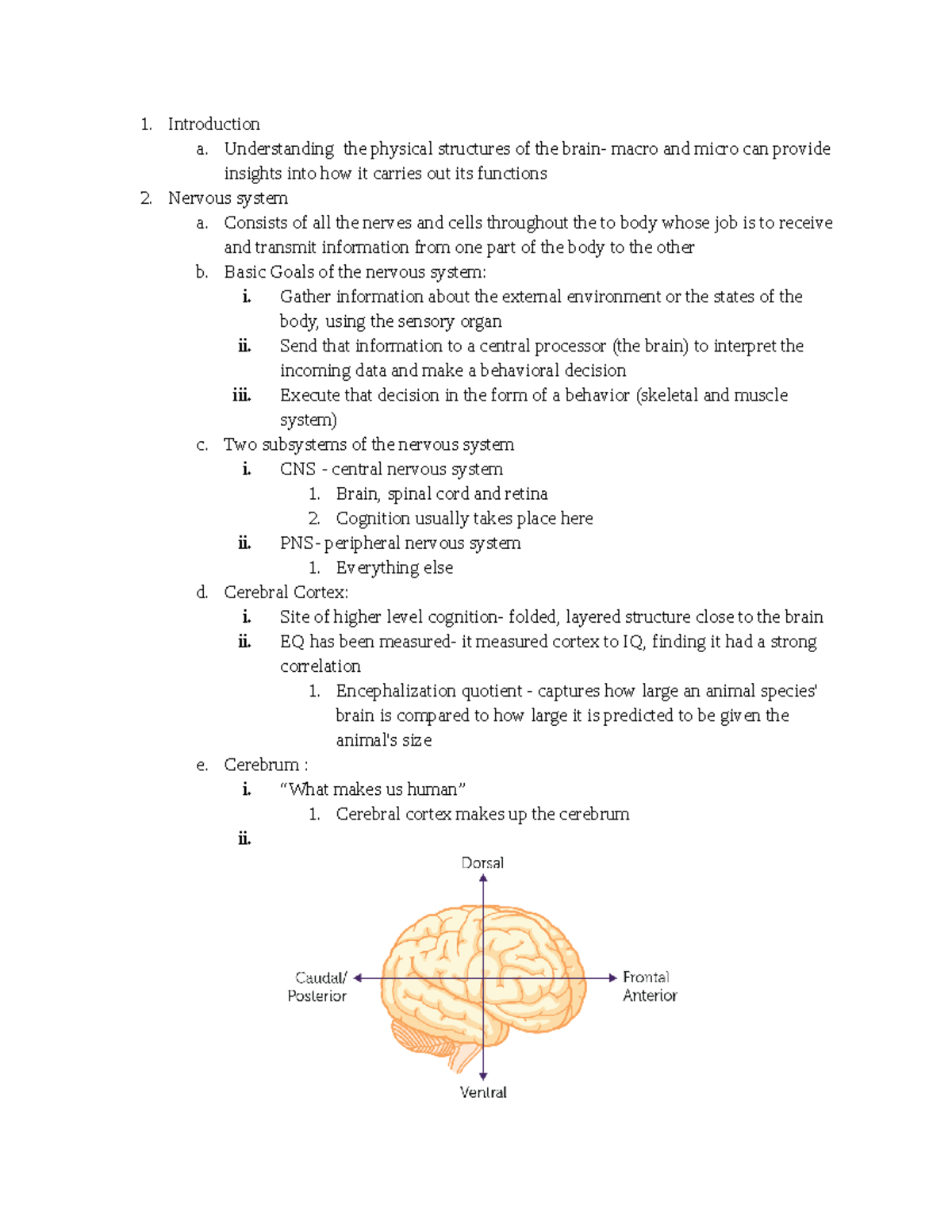 Chapter 3 Lecture Notes Textbook Summaries She Goes Based Off Of