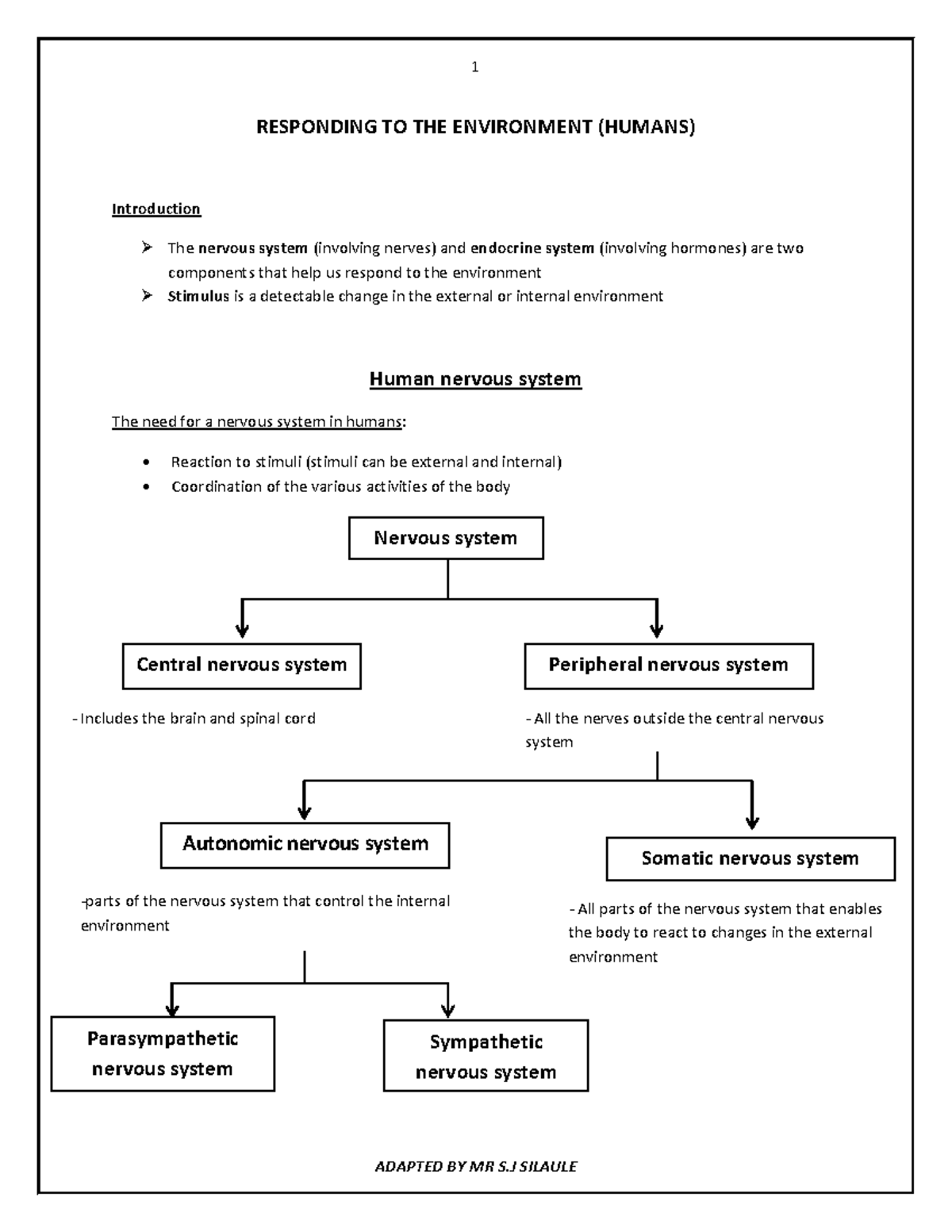 Respondig TO THE Environent Notes - RESPONDING TO THE ENVIRONMENT ...