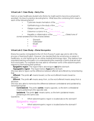 AHP105 Wk1 Assignment - lab - The Body Structure and Directional ...