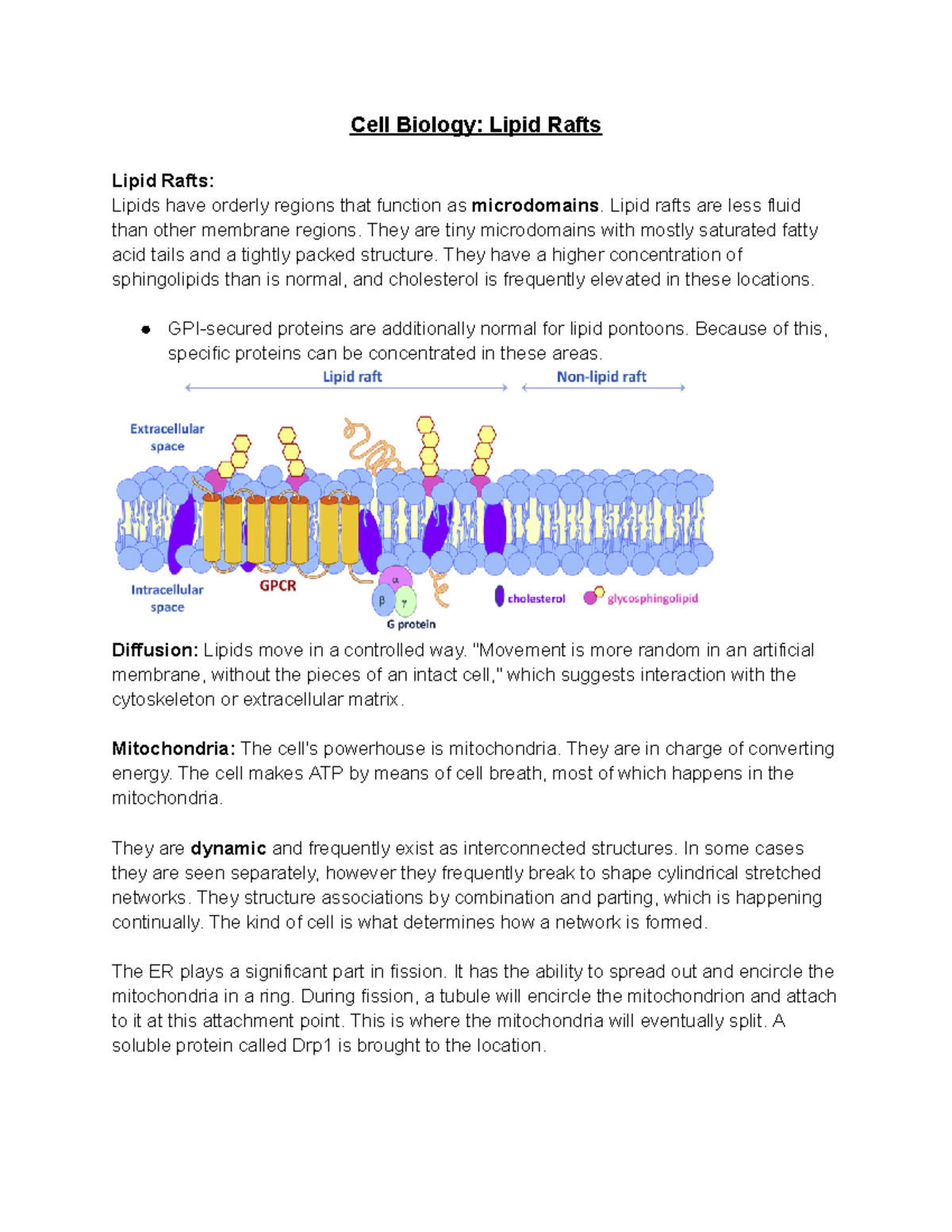 Cell Biology Lipid Rafts - Cell Biology: Lipid Rafts Lipid Rafts ...