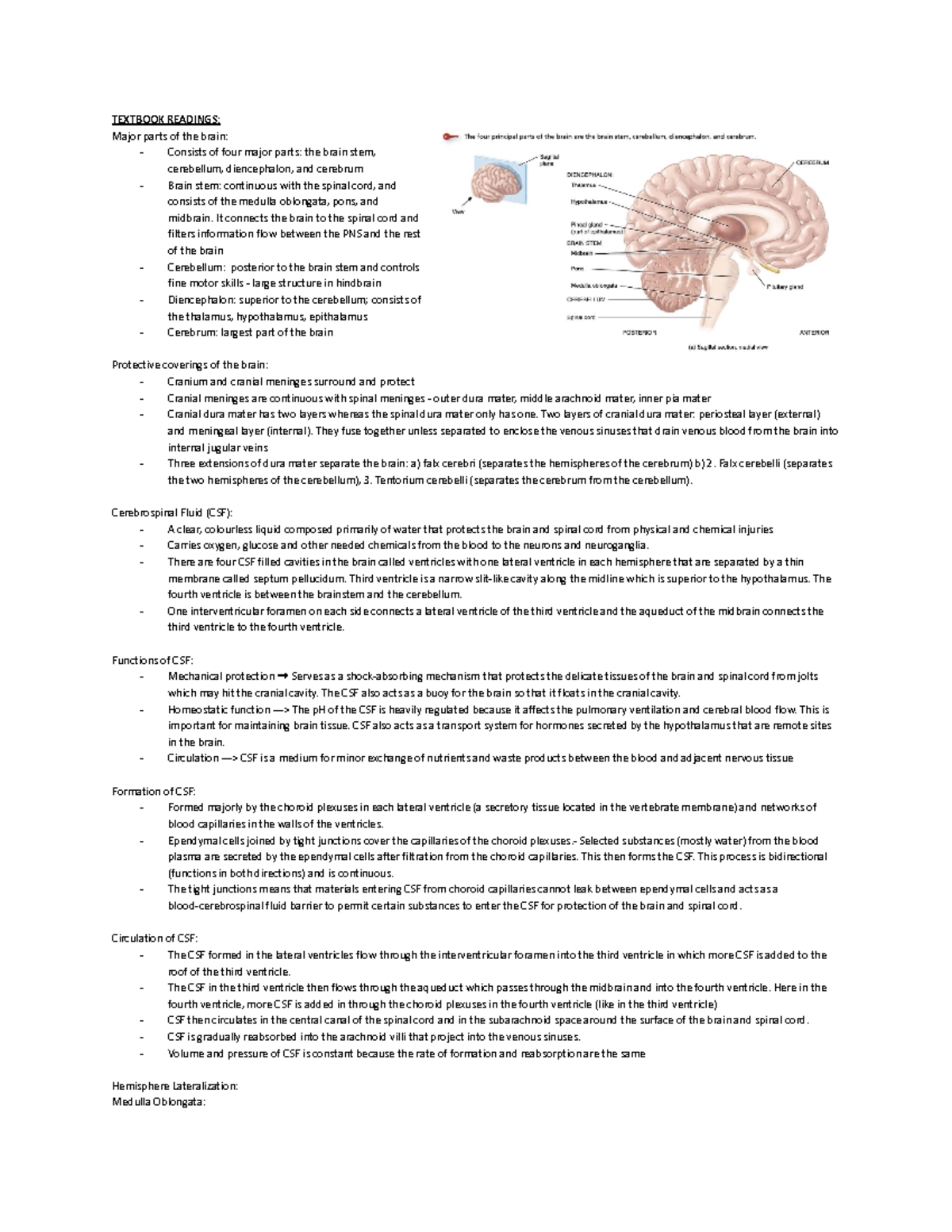 Medsci 142 lab 2 notes - Google Docs - TEXTBOOK READINGS: Major parts ...