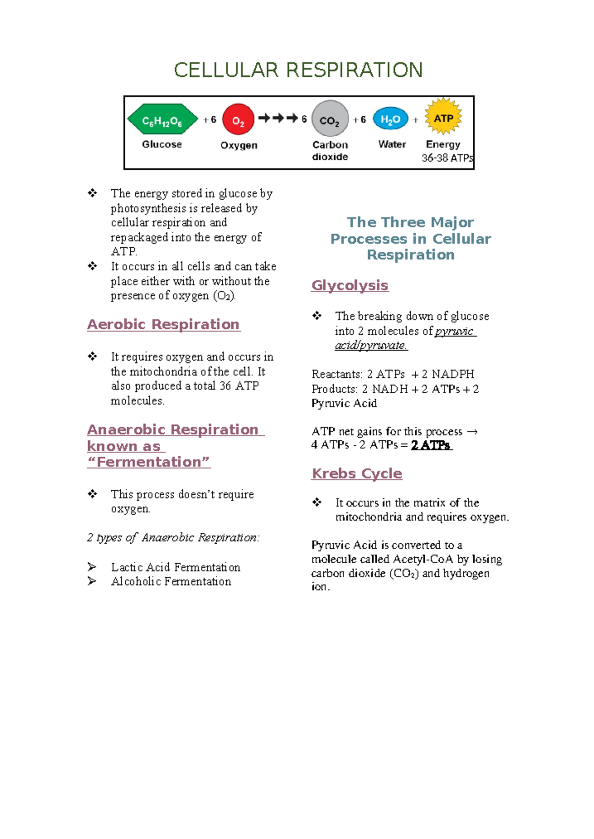 GEN - grade 12 - CELLULAR RESPIRATION The energy stored in glucose by ...