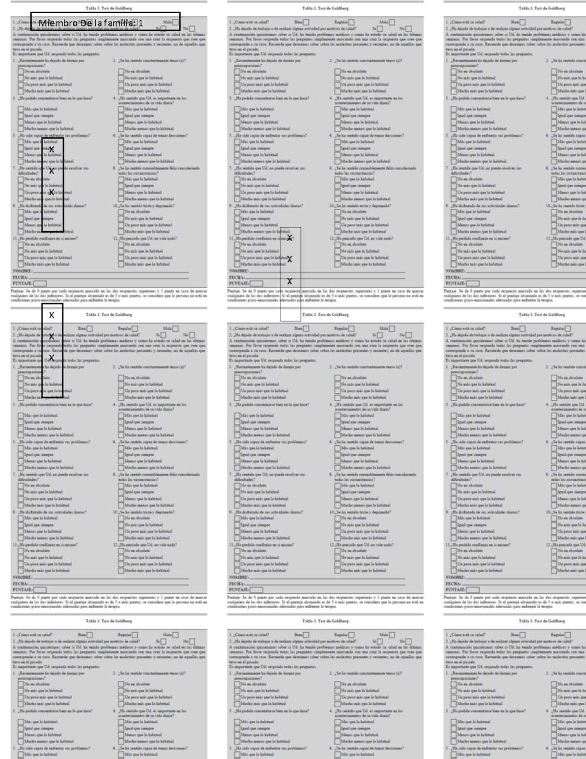 Ejercicio TEST DE Goldberg - Ingles técnico - X X X X X X Miembro De la ...
