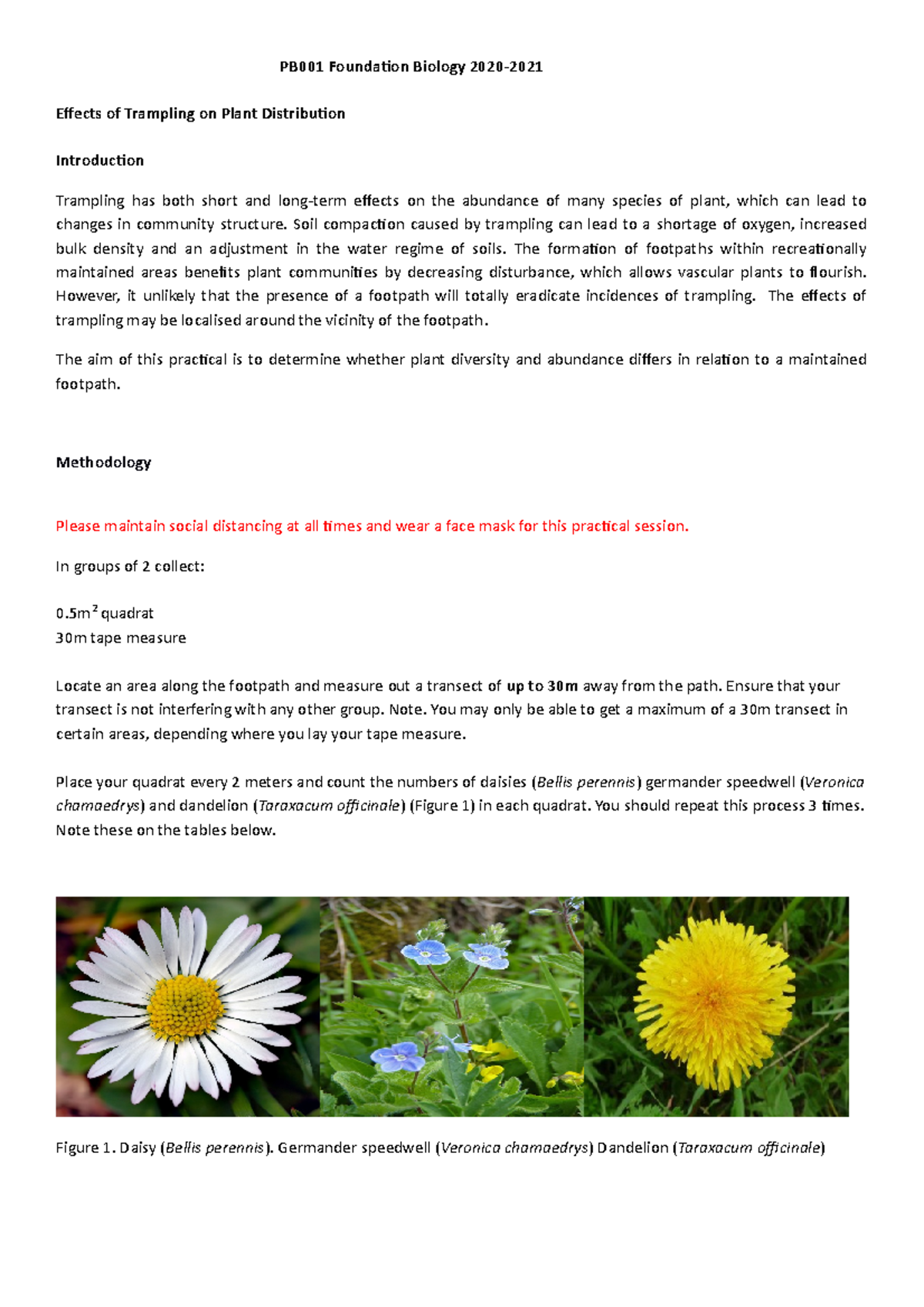 PB001 - Foundation Biology Field Practical 2020-2021 - PB001 Foundation ...