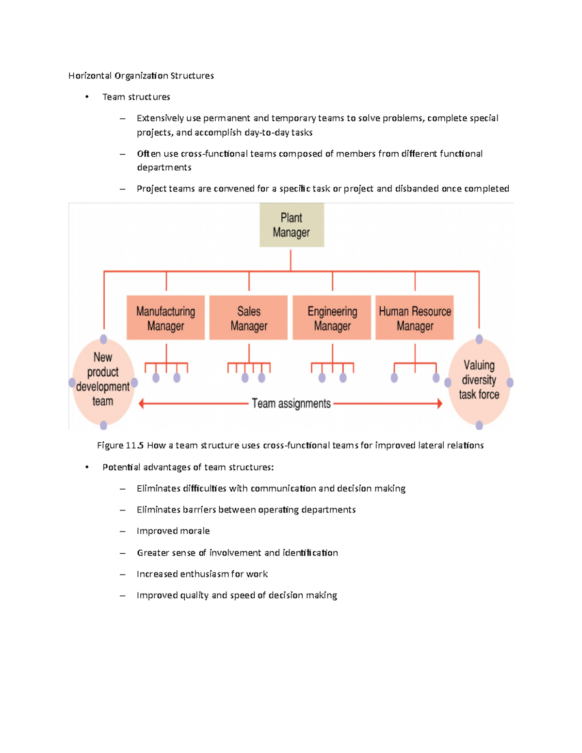 Horizontal Organization Structures - Studocu