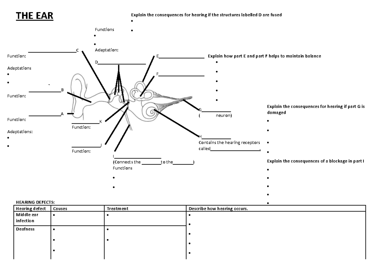 3.1 one pager The Ear 3 - Cheat sheet makes it sample - HEARING DEFECTS ...