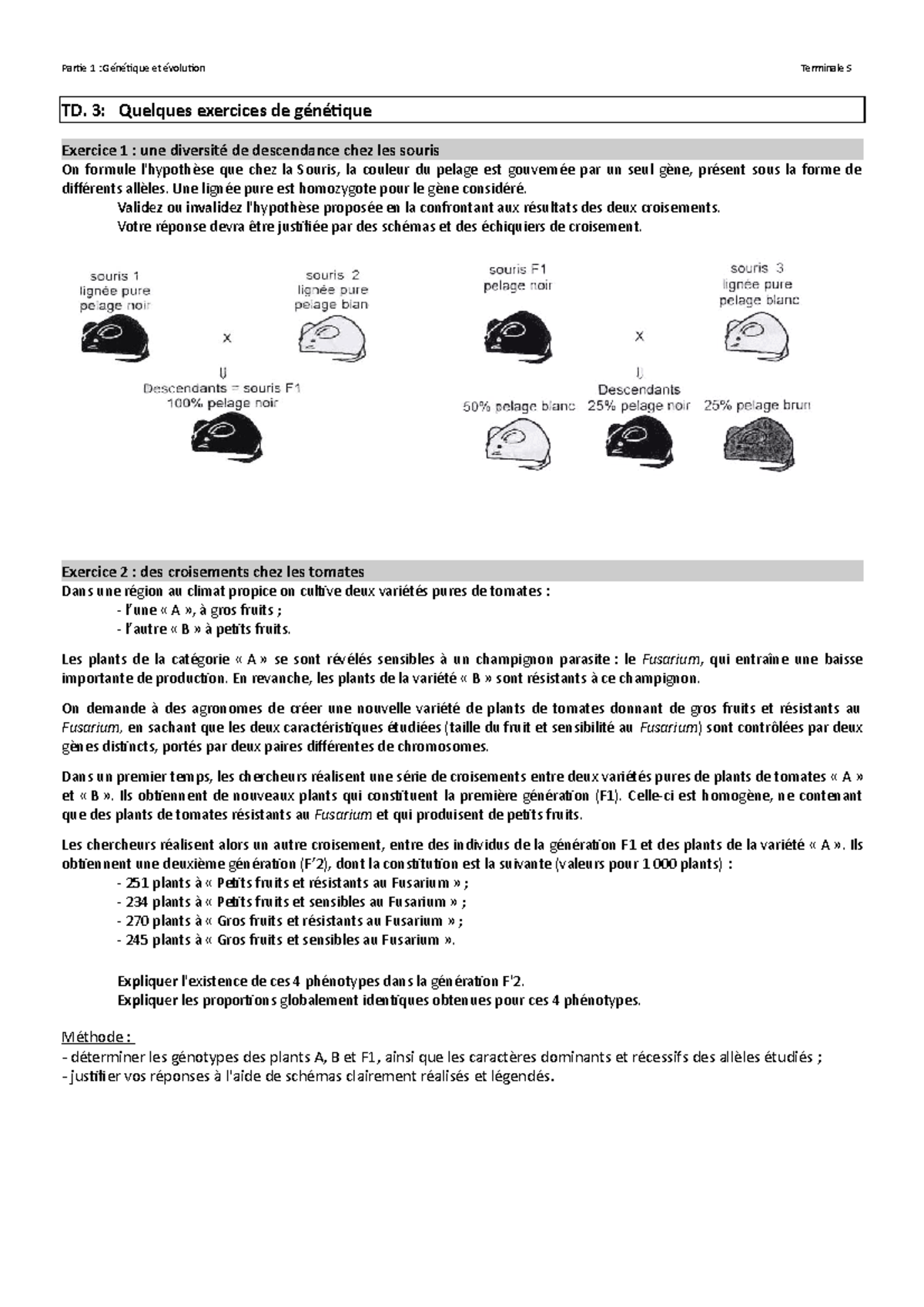 Exercice genetiques et correction - TD. 3: Quelques exercices de ...