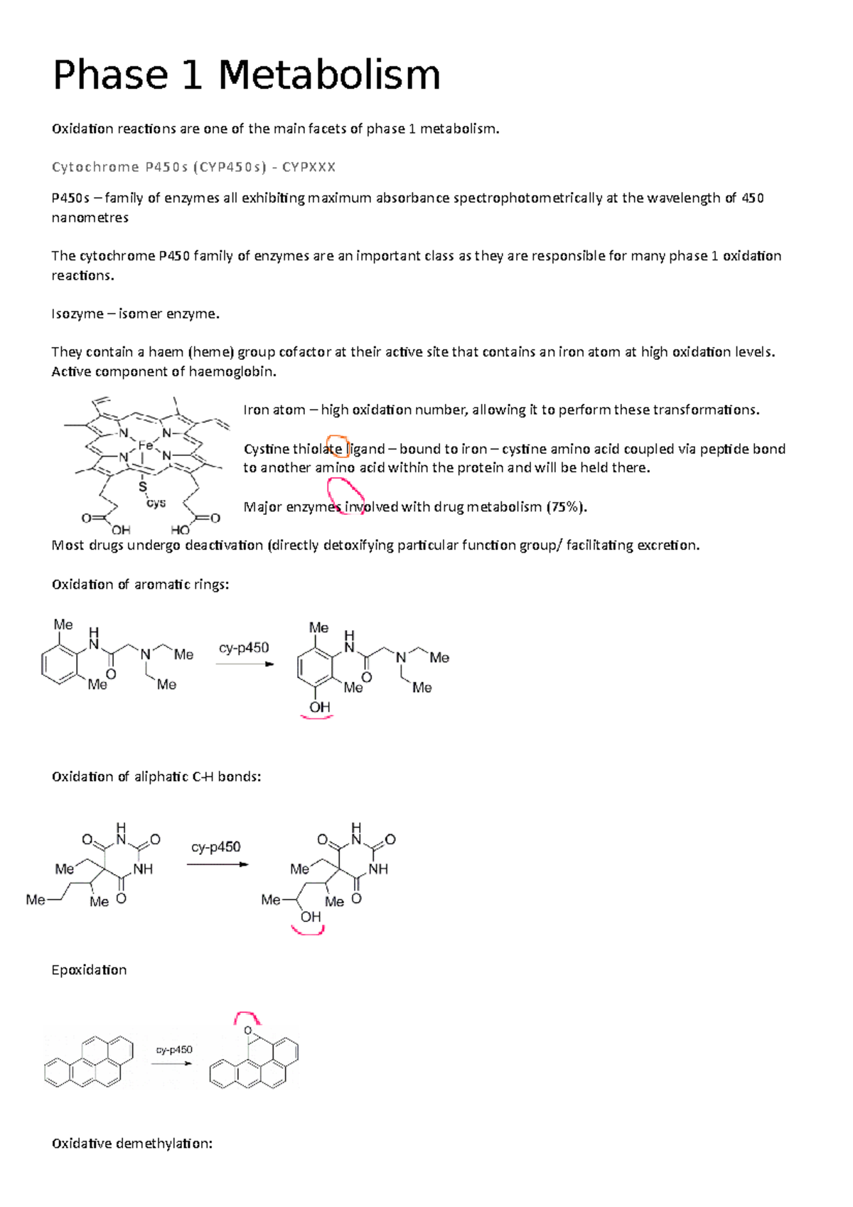 Phase 1 Metabolism - Lecture notes 24 - Phase 1 Metabolism Oxidation ...