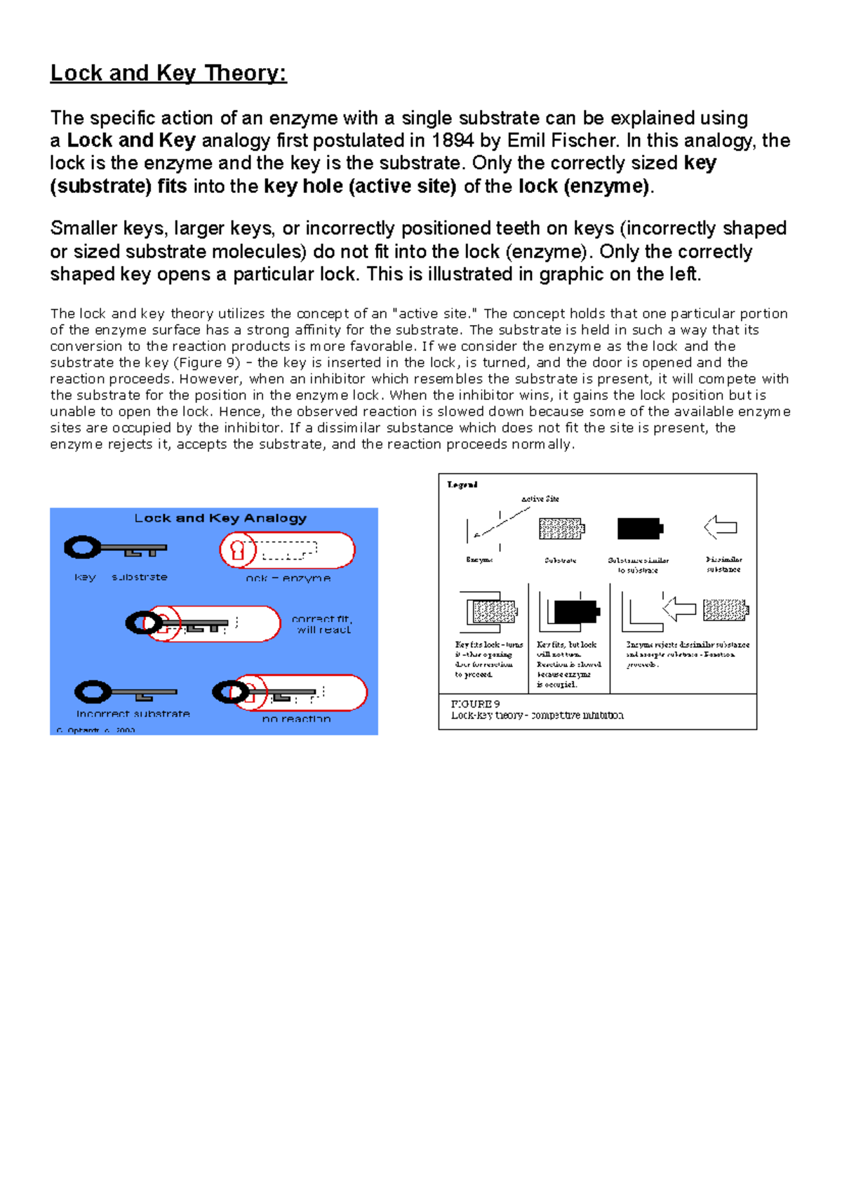 ENZ assi 2 - assignment notes for enzymology - Lock and Key Theory: The ...