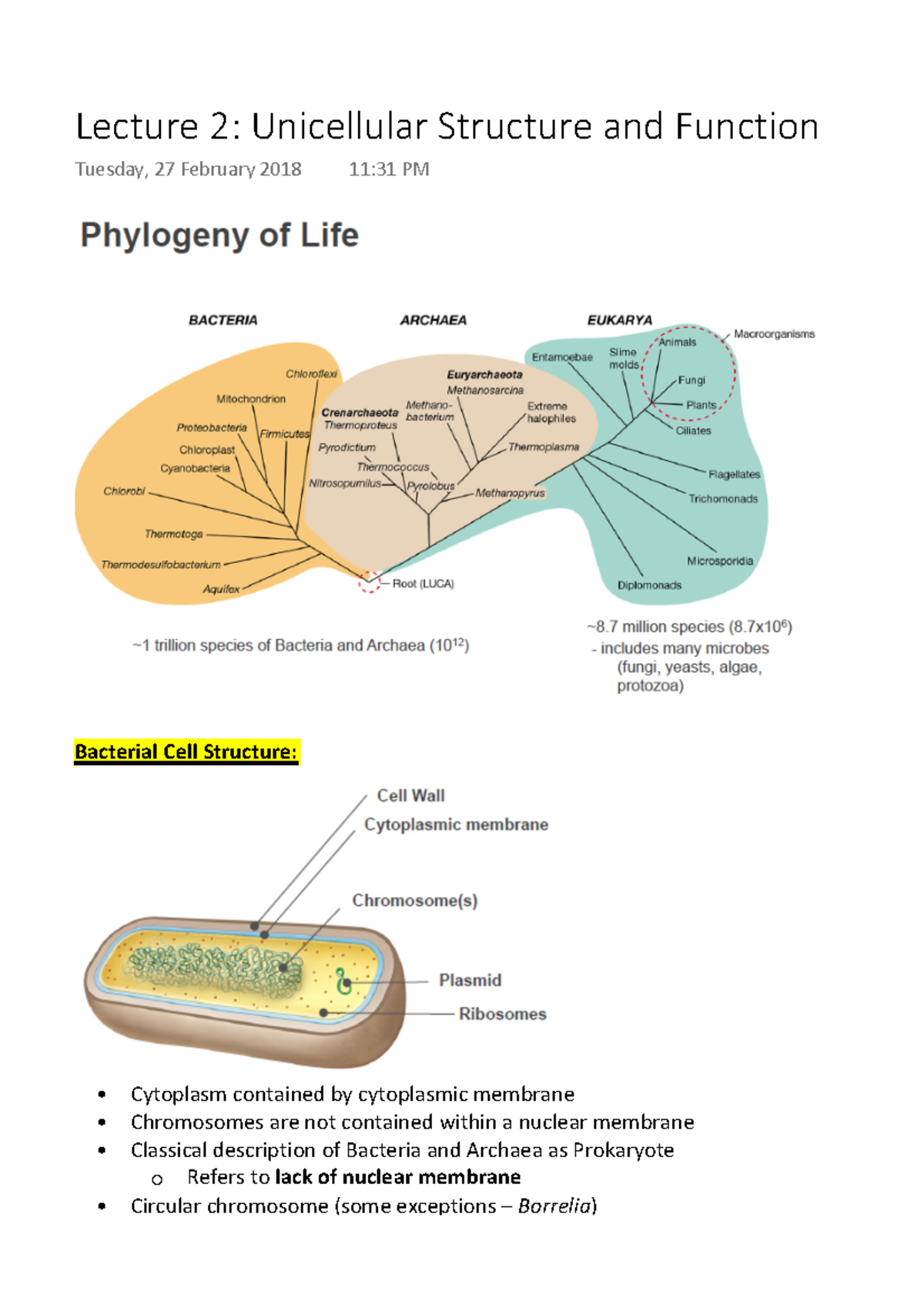 Lecture 2 Unicellular Structure and Function - Lecture 2: Unicellular ...