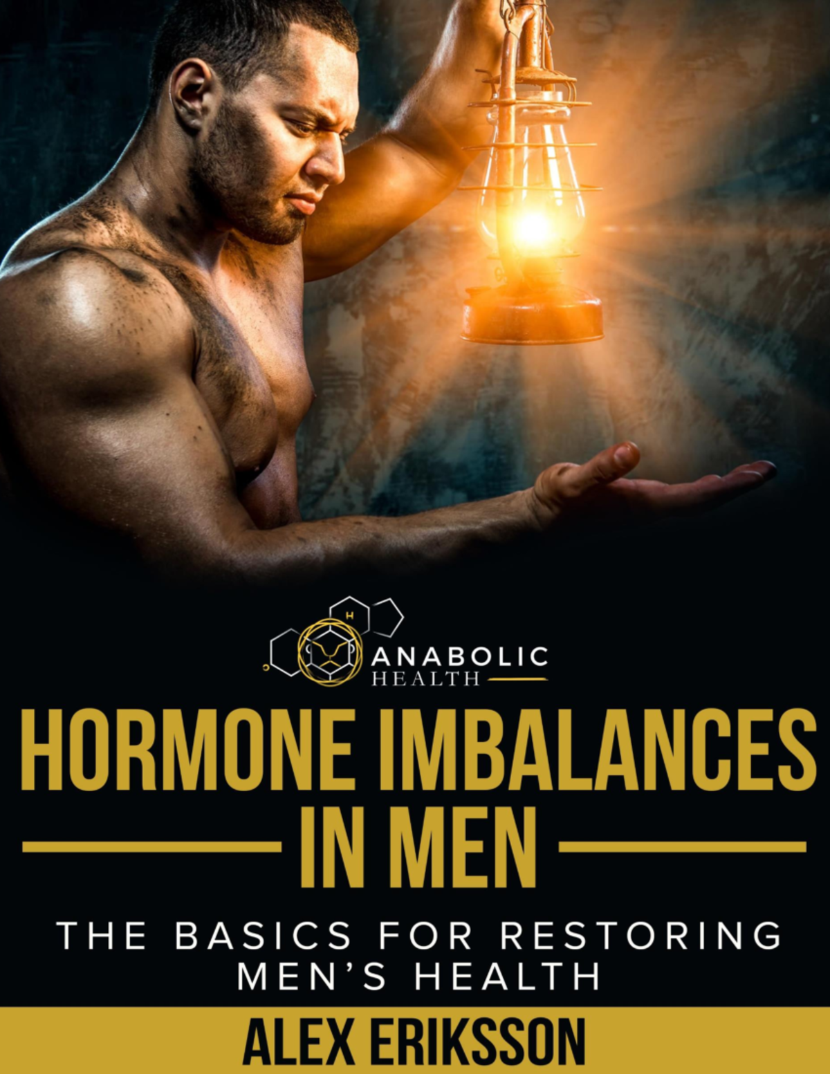 Hormone imbalances in men ebook - Hormone Imbalance in Men: How to ...