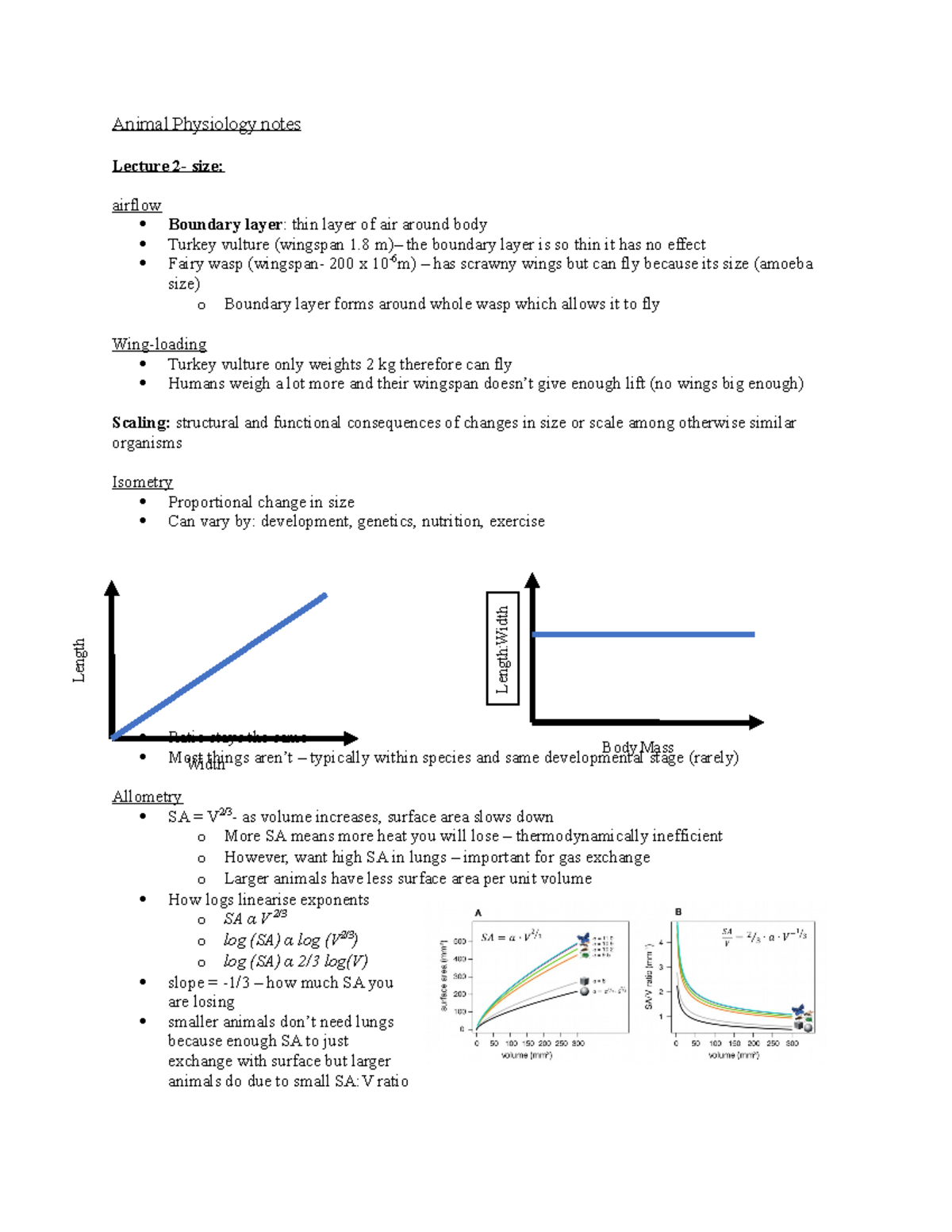 Animal Physiology notes - Animal Physiology notes Lecture 2- size ...