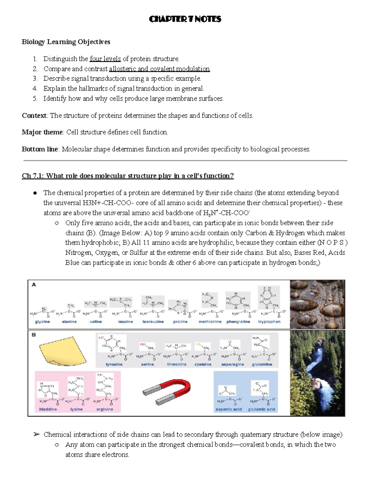Chapter 7 Notes - Dr. Wilkinson - CHAPTER 7 NOTES Biology Learning ...