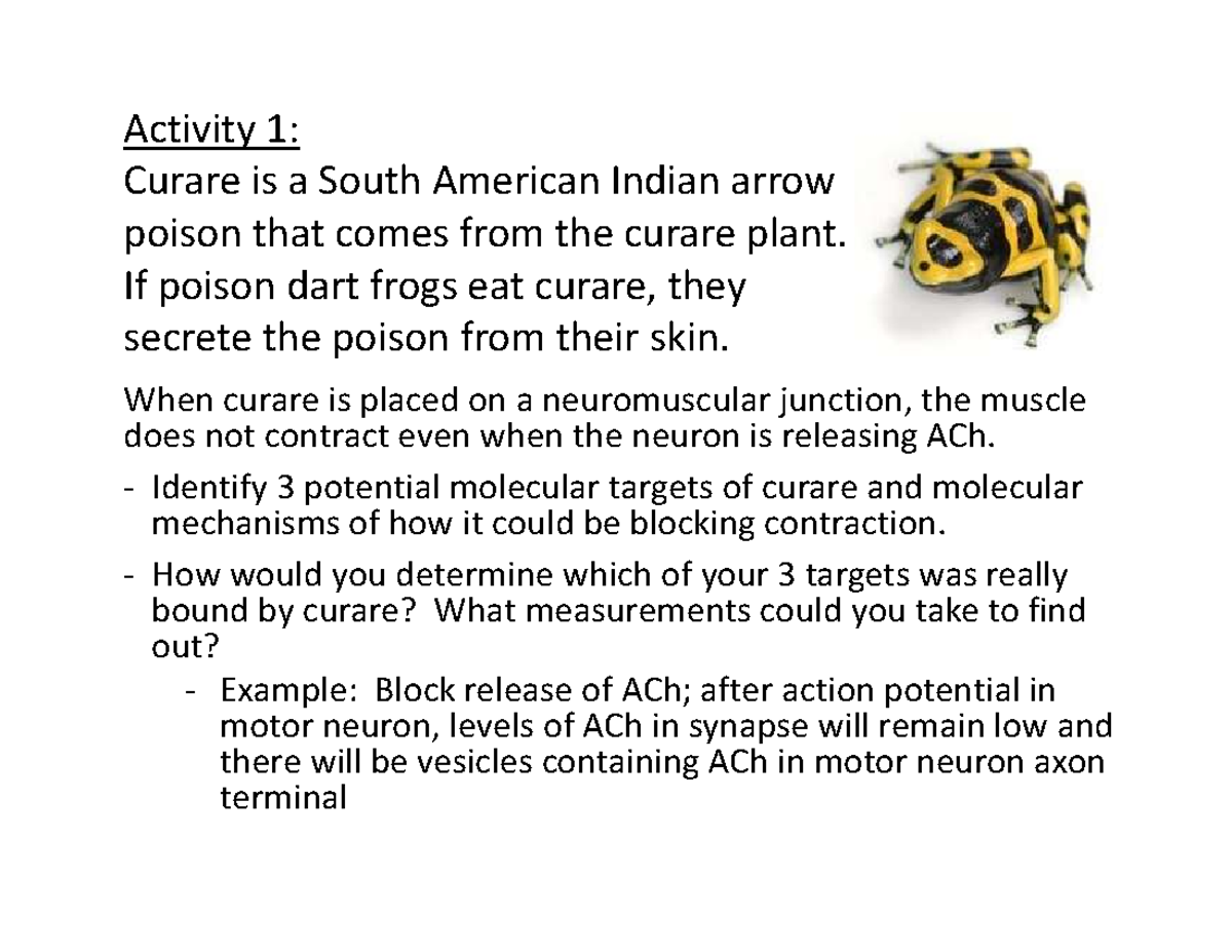 Module 5 - Verify Activity Questions (203 - When curare is placed on a ...