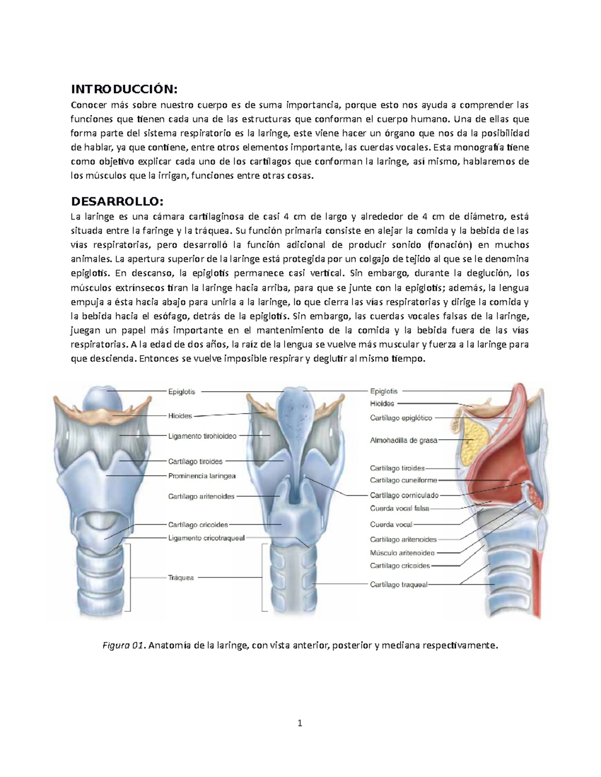 Monografía semana 3 - dsgfhf df g gdfgfgdg fdgdfg g - INTRODUCCIÓN ...