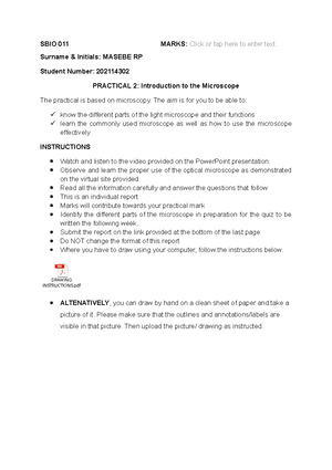 Punnett sq cheat sheet - Practical genetics - PUNNETT SQUARE CHEAT ...