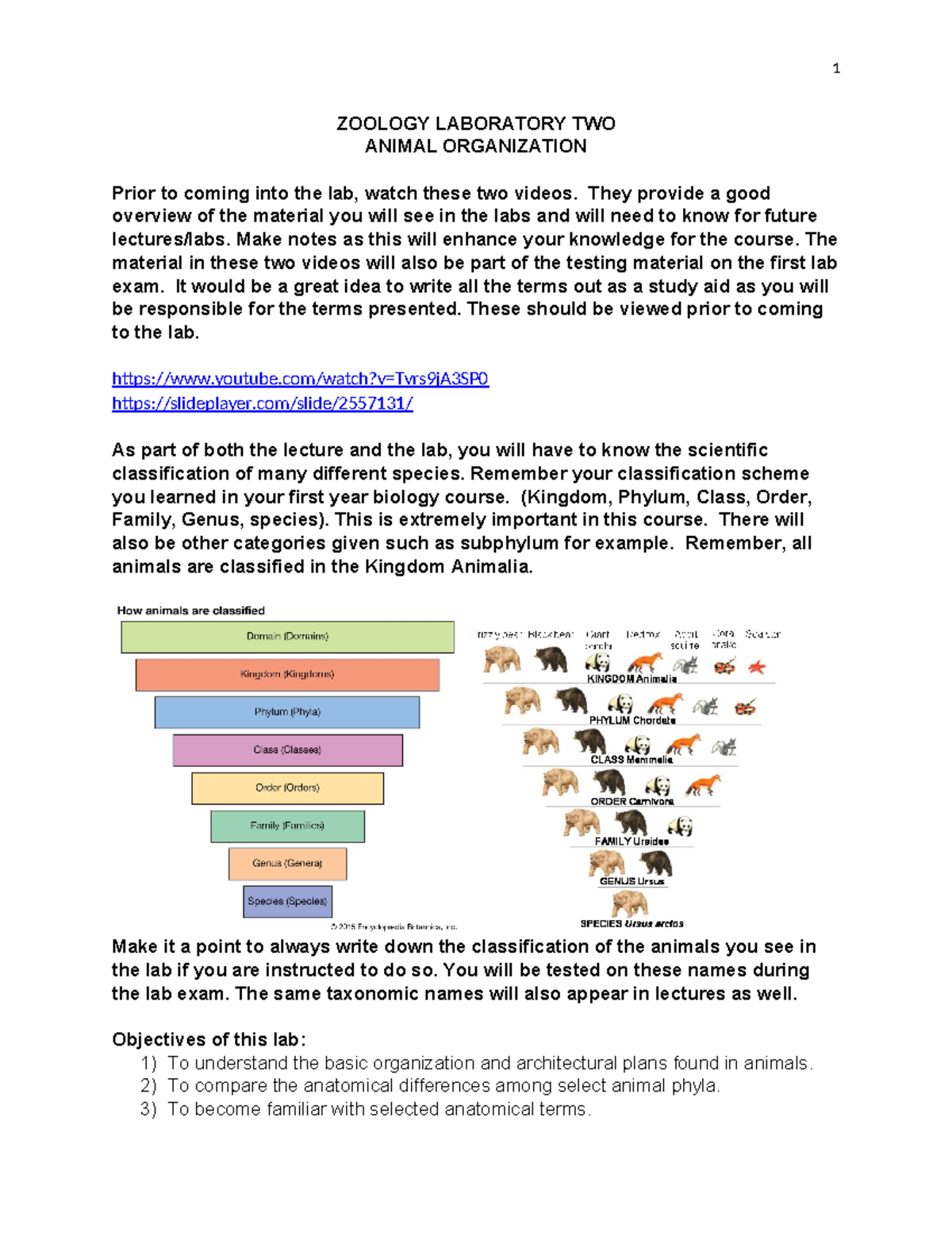 Zoology Lab Two 2024 - read - ZOOLOGY LABORATORY TWO ANIMAL ...