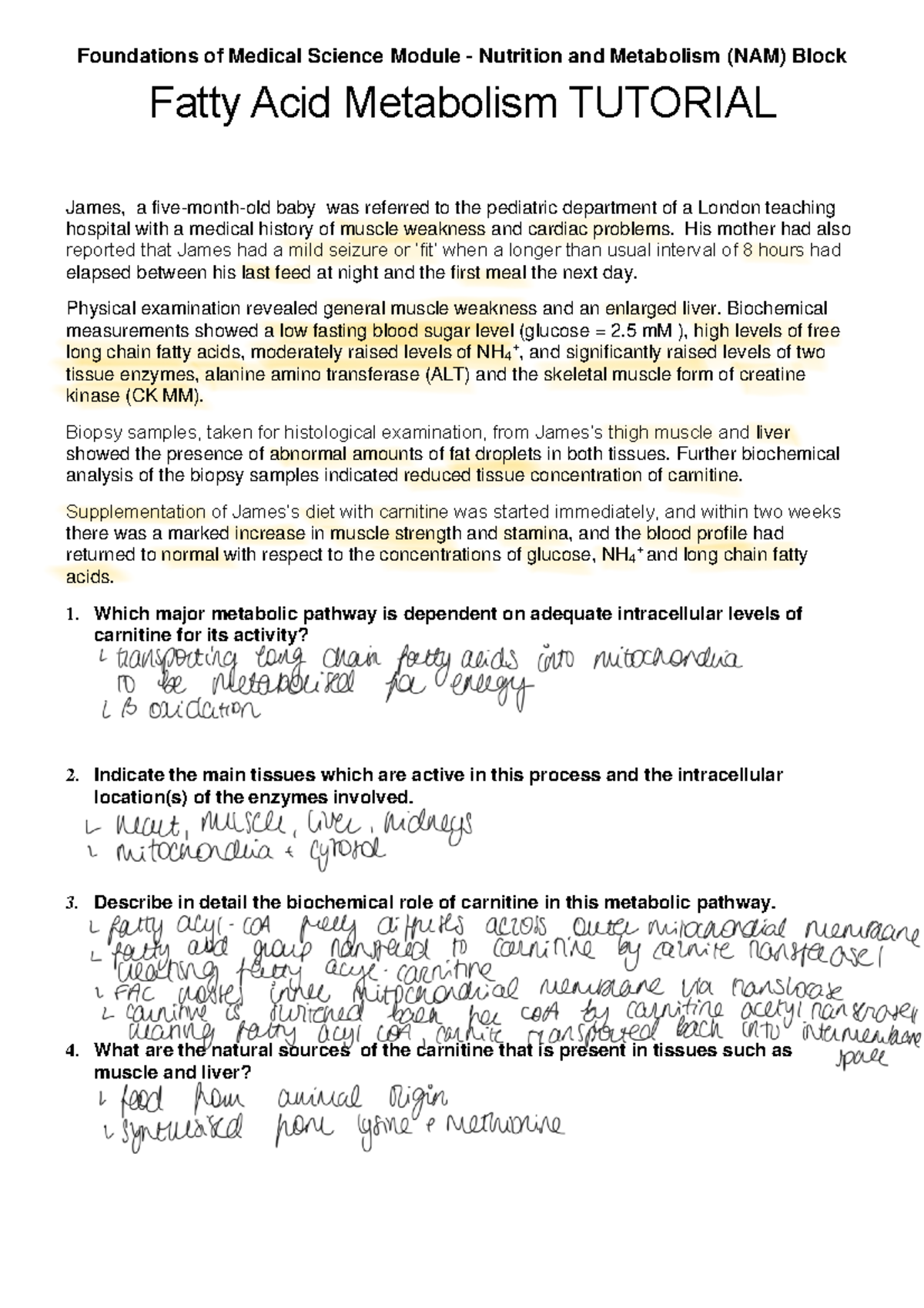 NAM tutorial fatty acid metabolism pdf - Foundations of Medical Science ...