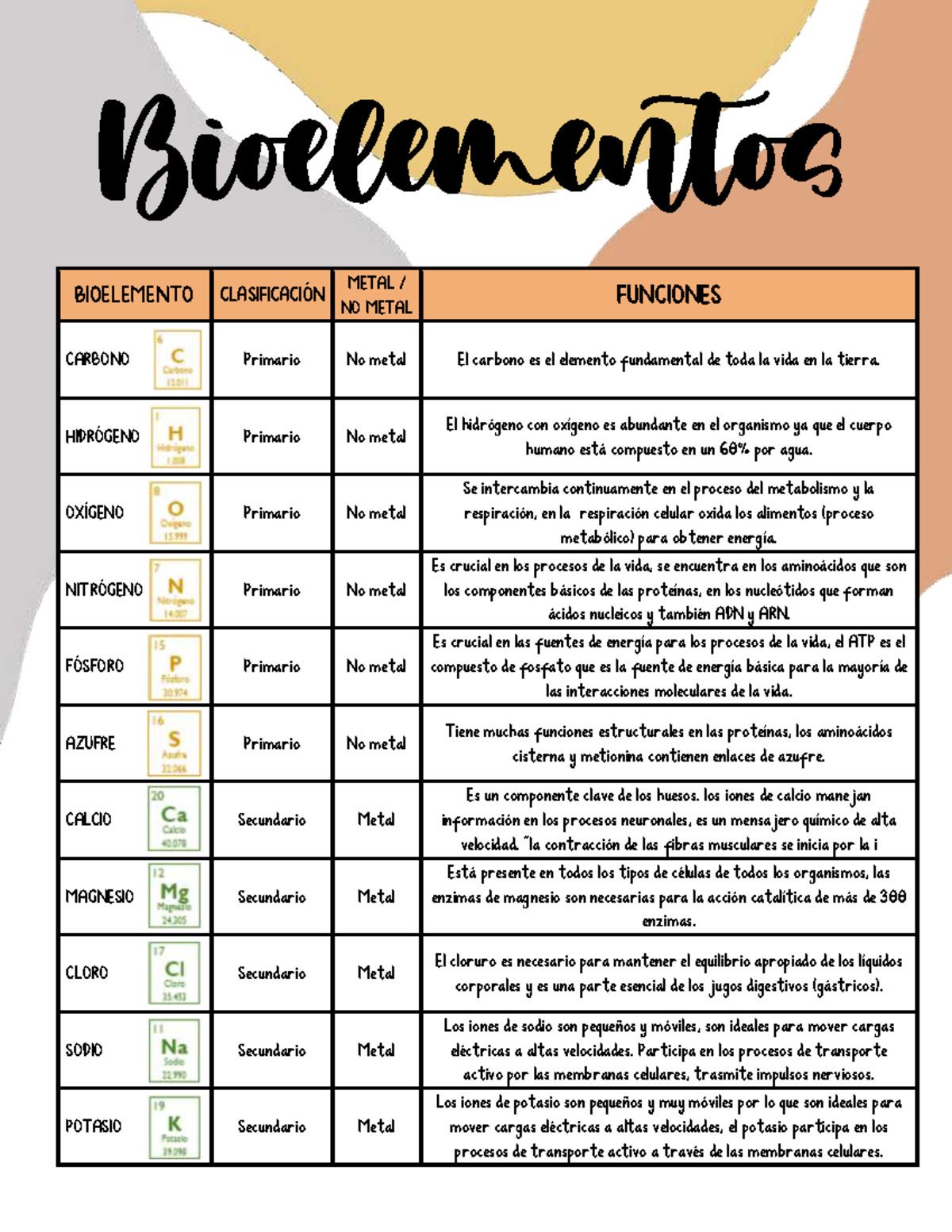 Bioelemento - BIOELEMENTO CLASIFICACI”N METAL / NO METAL FUNCIONES ...