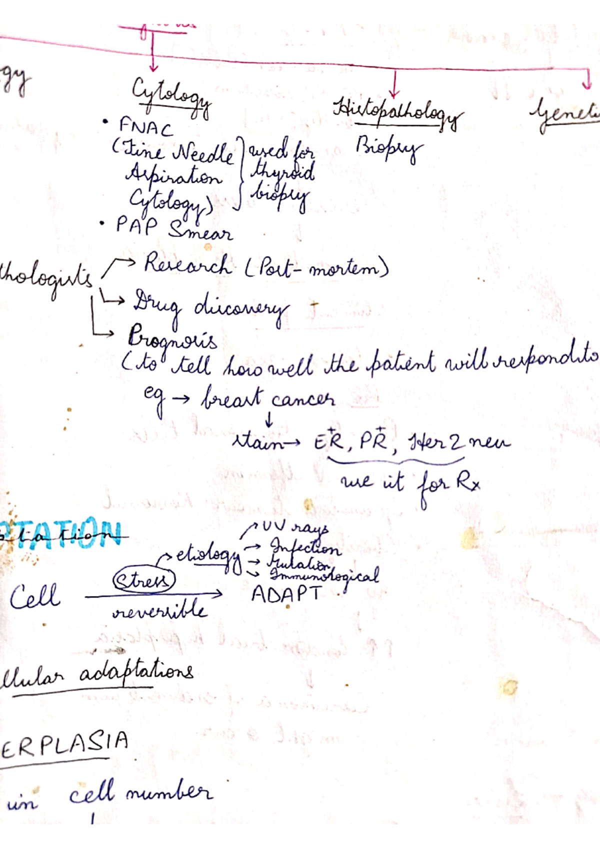 PATHOLOGY LECTURE NOTES FROM COACHING APPS INCLUDING DIAGRAMS AND ALLL ...