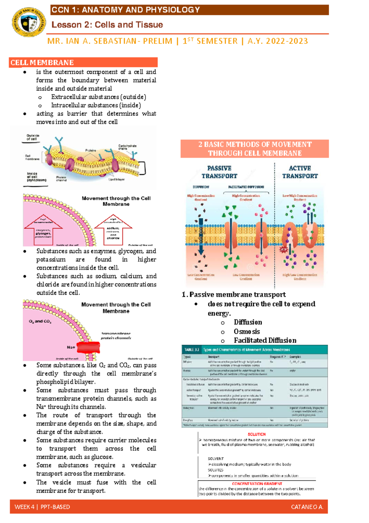 CCN 1 L3 - Lesson 2: Cells and Tissue MR. IAN A. SEBASTIAN- PRELIM | 1 ...
