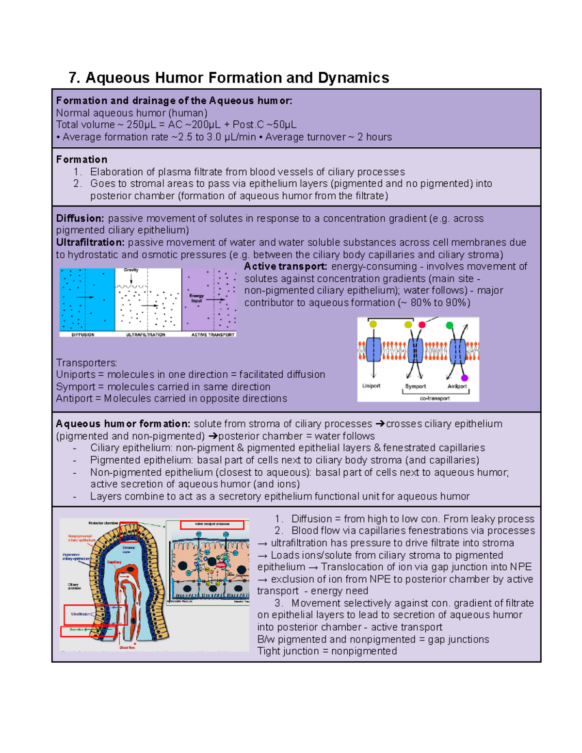 Ocular Anat 2 - Physio - 7. Aqueous Humor Formation and Dynamics ...