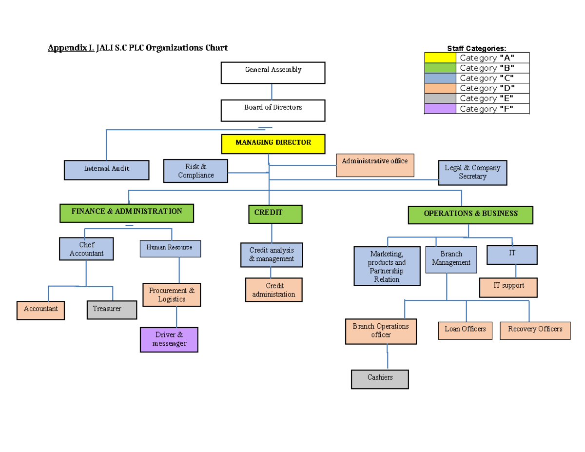 JALI S.C PLC Proposed Organization chart-approved - Appendix I. JALI S ...
