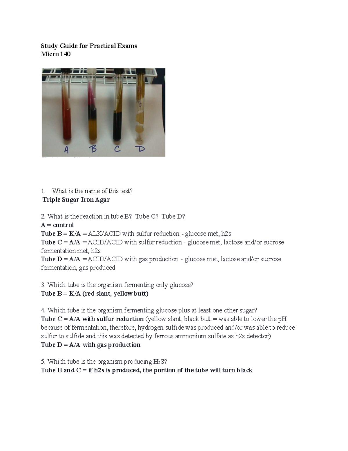 Study Guide - Practicals - Micro 140 Finals - Study Guide for Practical ...