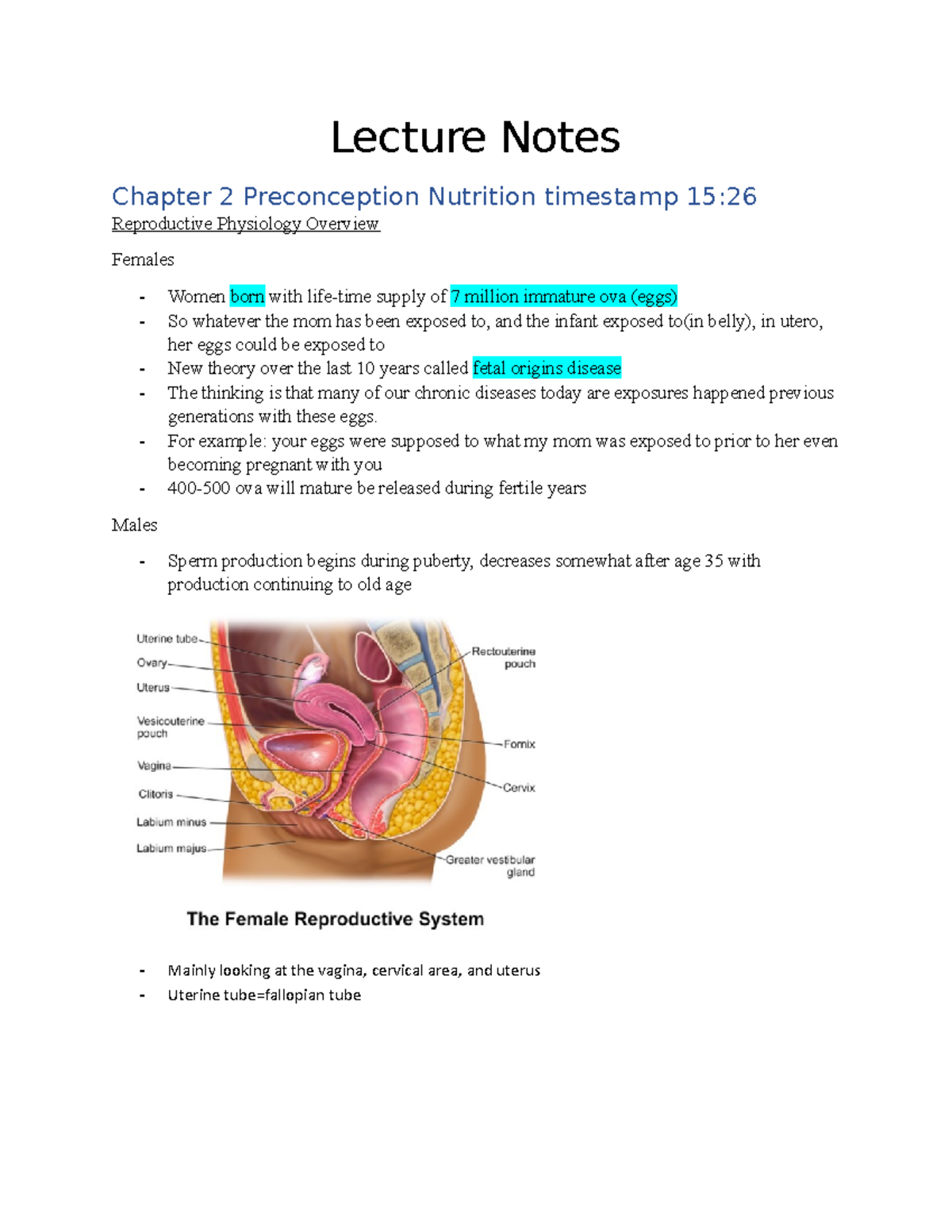 CH2 notes - Lecture Notes Chapter 2 Preconception Nutrition timestamp ...
