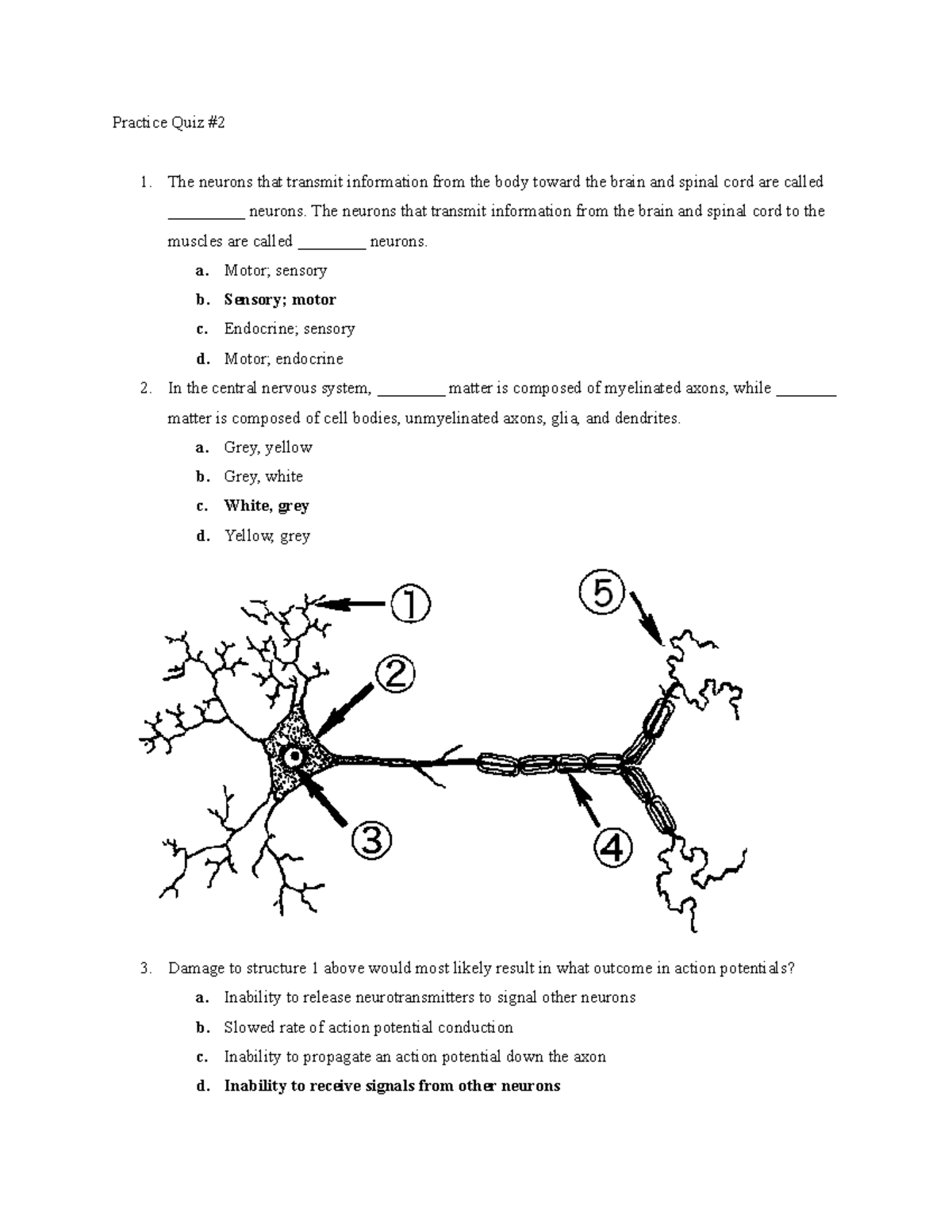Practice Quiz #2 - Practice Quiz # The neurons that transmit ...