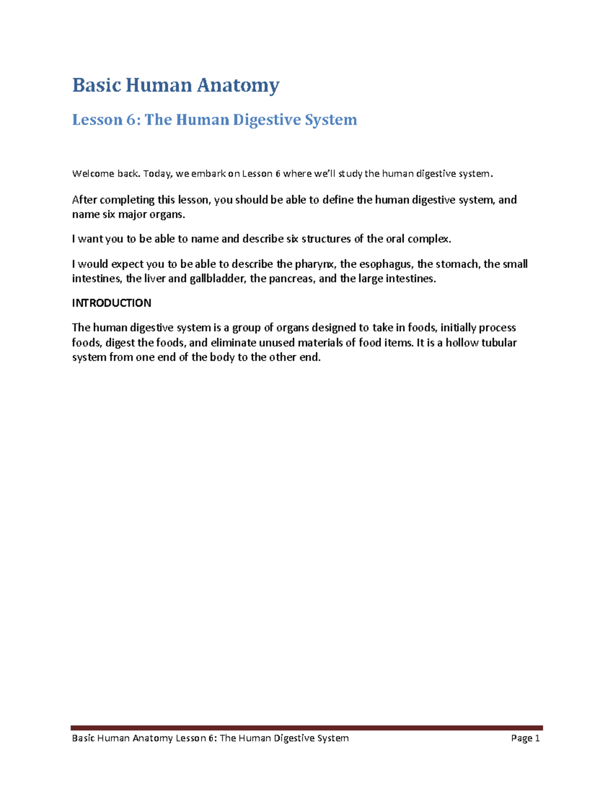 Digestive system - Basic Human Anatomy Lesson 6: The Human Digestive ...