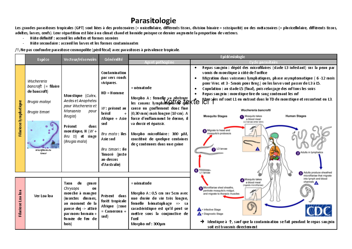 Tableau 1 parasito-1 - Parasitologie – Papon (S5) Les grandes ...