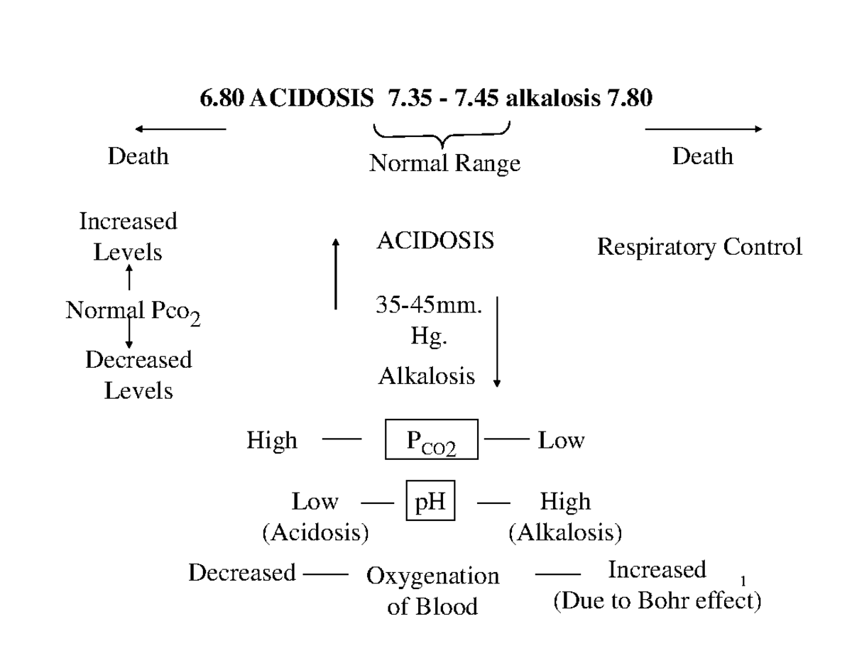 Arterial Blood Gases - Study! - 6 ACIDOSIS 7 - 7 alkalosis 7. Normal ...