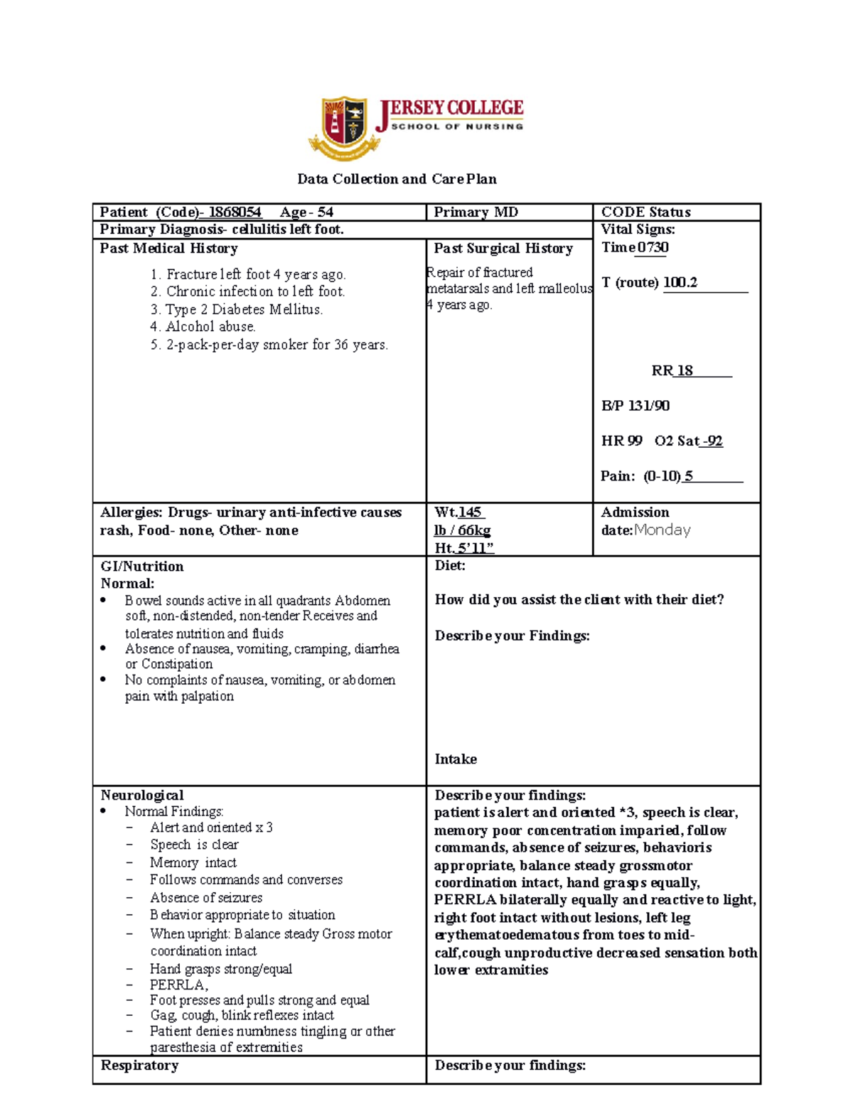 Care Plan Form - Care plan term 1 LPN - Data Collection and Care Plan ...