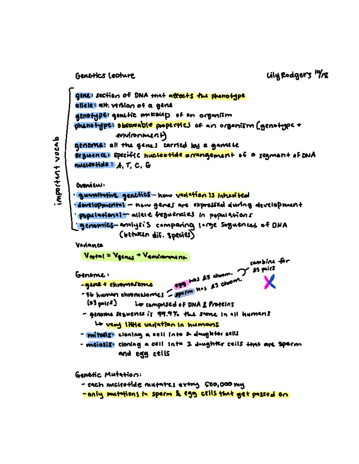 Genetics notes - Genetics lecture LilyRodgers gene section of DNA that ...