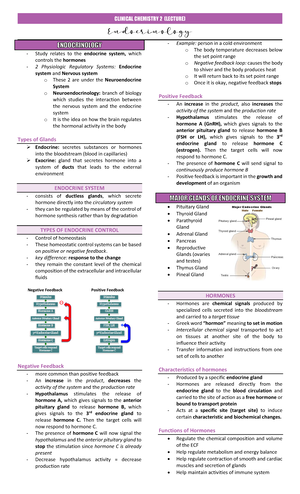 Lecture Lesson 8. Endocrinology II - THYROID GLAND - located in front ...