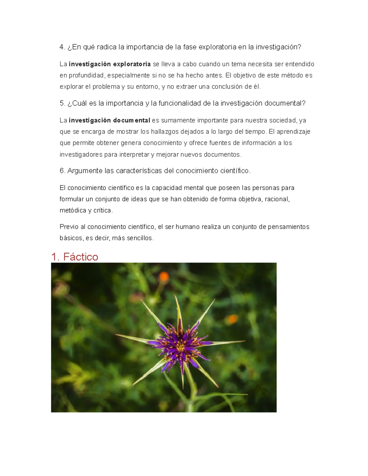 Tecnocas de ivestigaciòn documetal - ¿En qué radica la importancia de ...