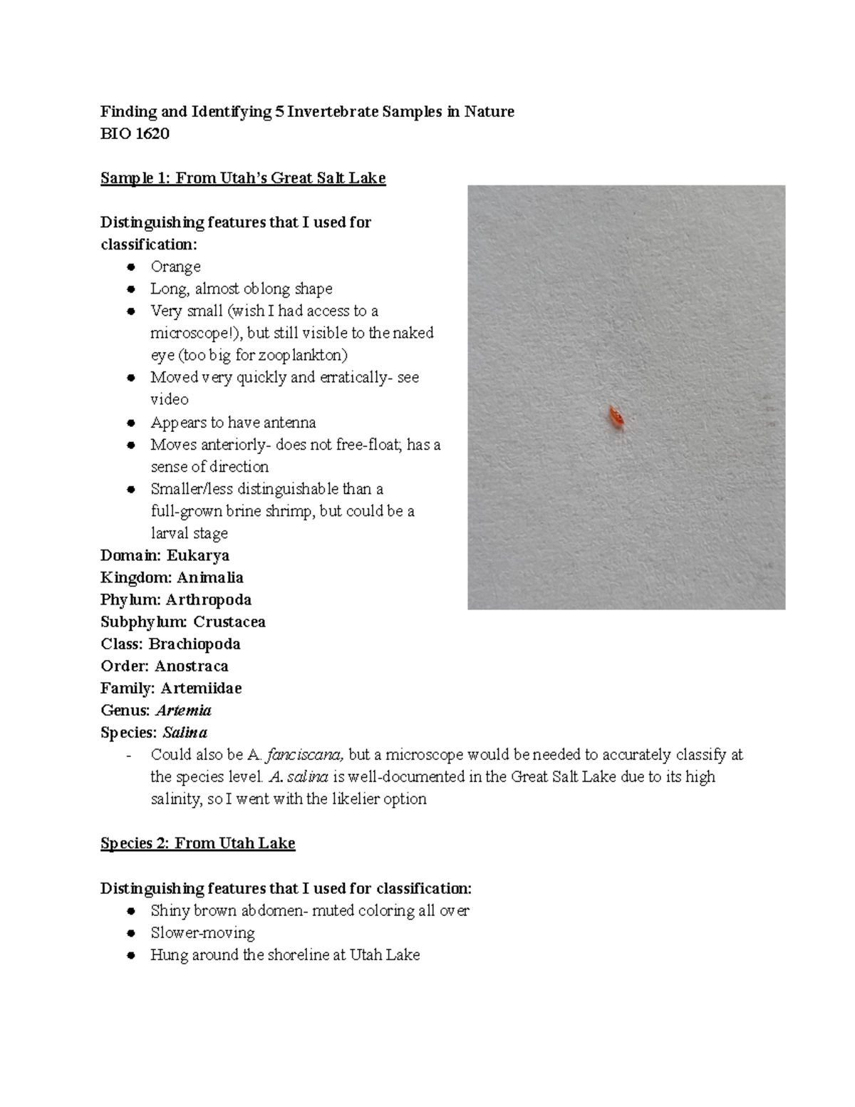 DIY 3 - Samples from Utah Lake - Finding and Identifying 5 Invertebrate ...
