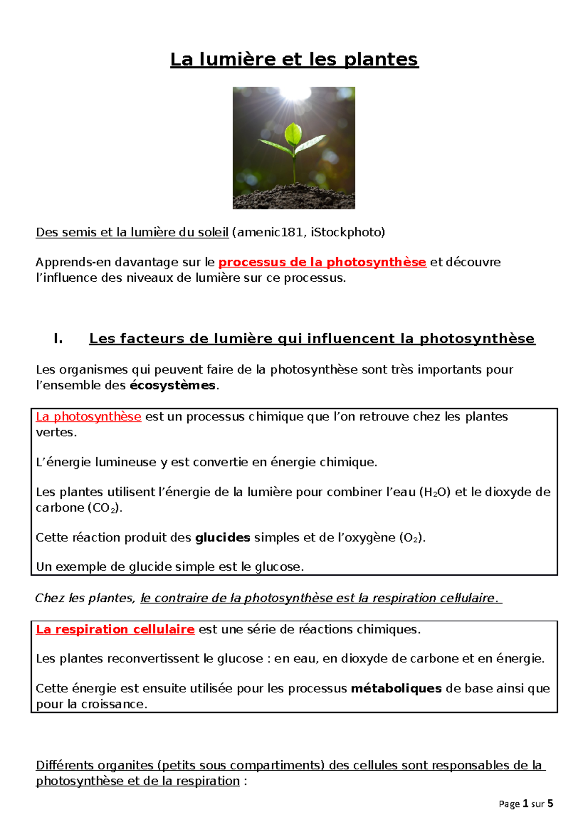 Photosynthese-La lumière et les plantes - La lumière et les plantes Des ...