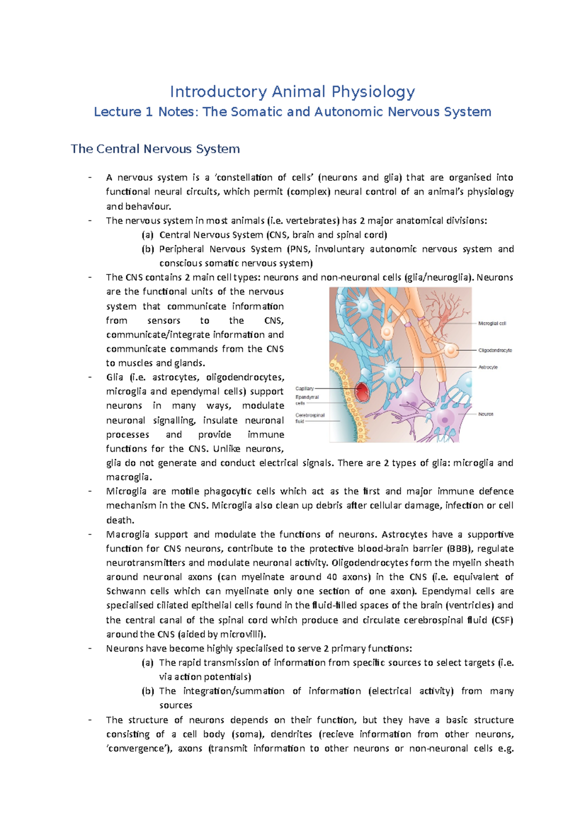 Lecture 1 Notes (Somatic and Autonomic Nervous System) - Introductory ...