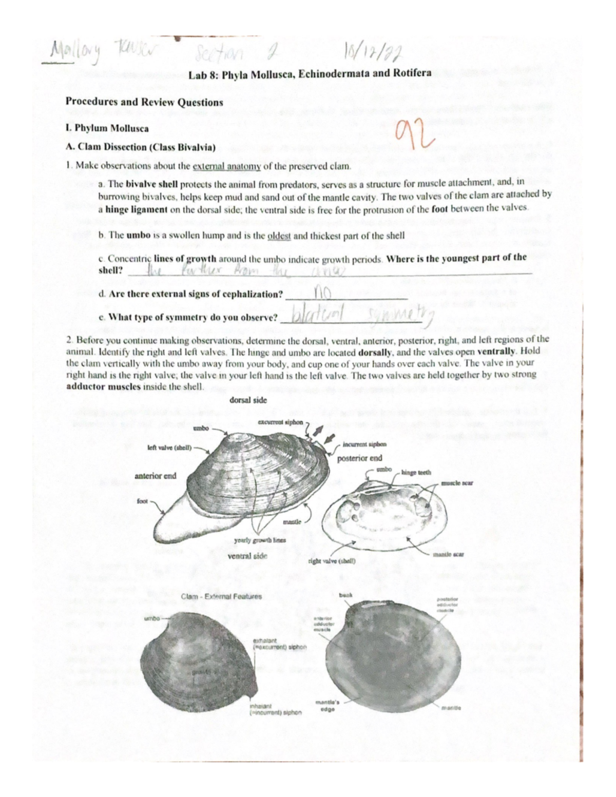 Lab 8 Phyla Mollusca, Echinodermata and Rotifera - ES 1121 - UTSA - Studocu