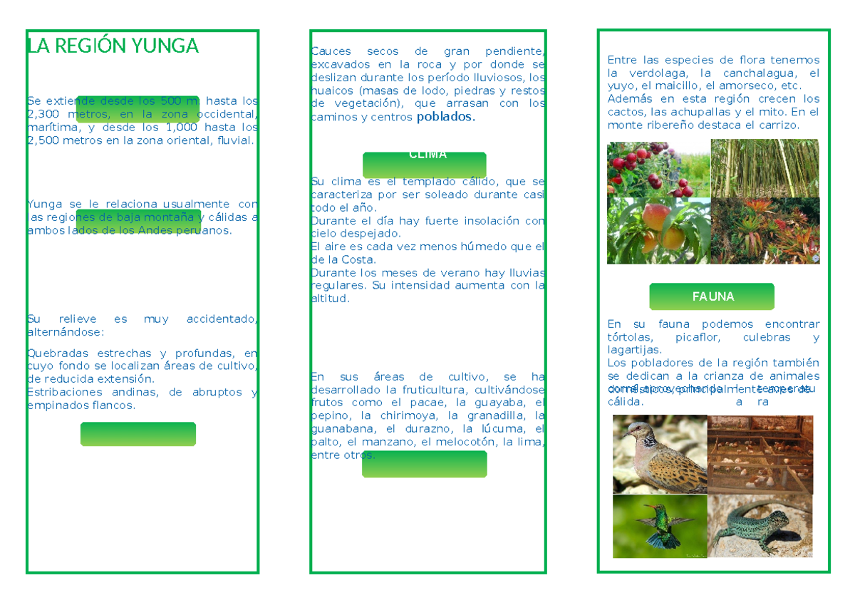Yunga WORD - recoleccion de datos - LA REGIÓN YUNGA UBICACIÓN Se ...