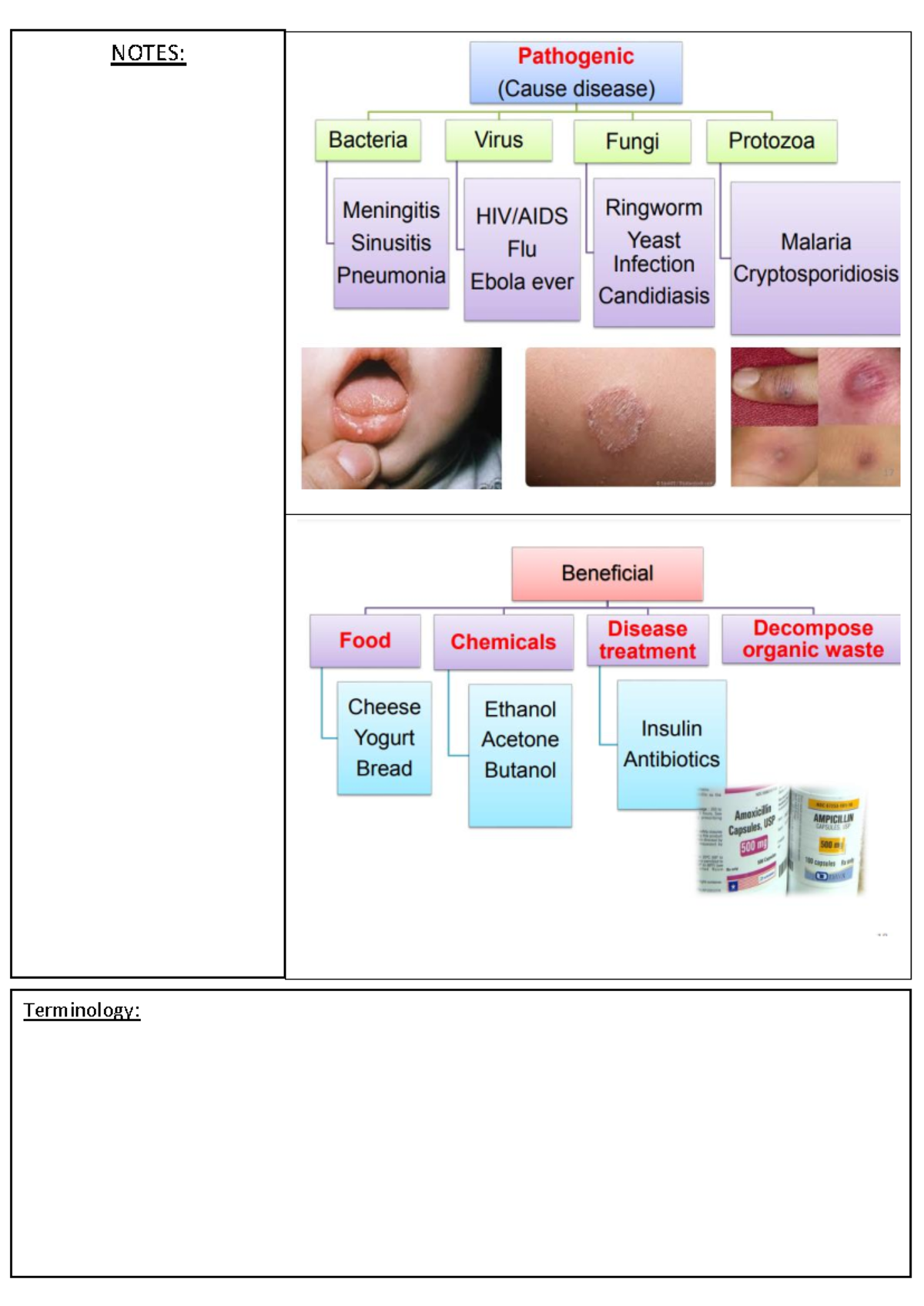 MBY Summary Notes Theme 1-4 - MBY 161 - UP - Studocu