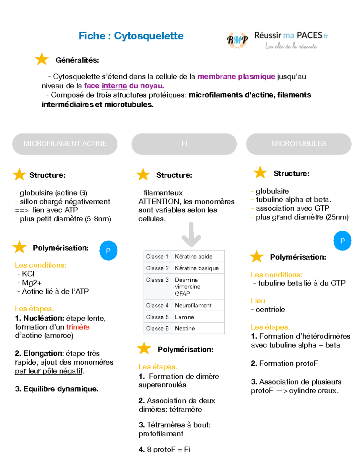 Fiche-cytosquelette - cous complet - Fiche : Cytosquelette Généralités ...