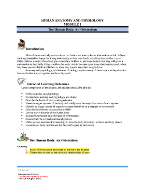 Anaphy-reviewer - THE MAP OF THE HUMAN BODY BODY POSITIONS ANATOMICAL ...