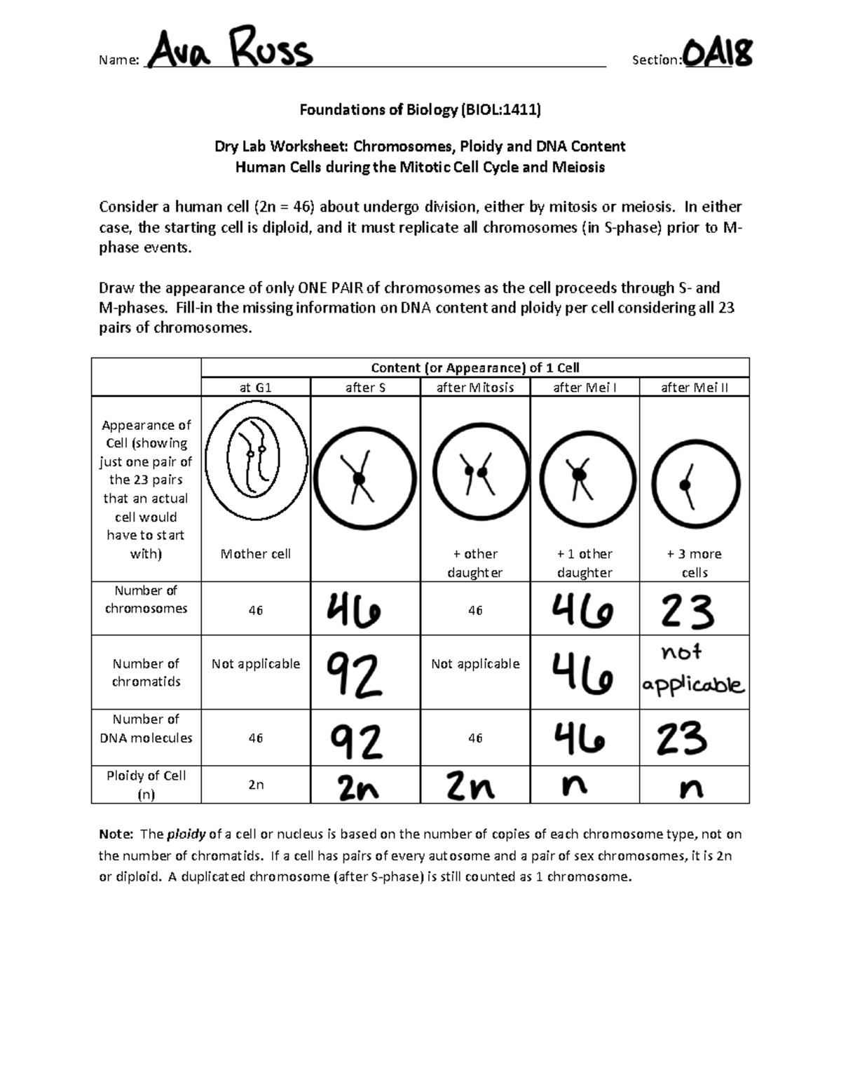 Lab worksheet 2 - Name ...